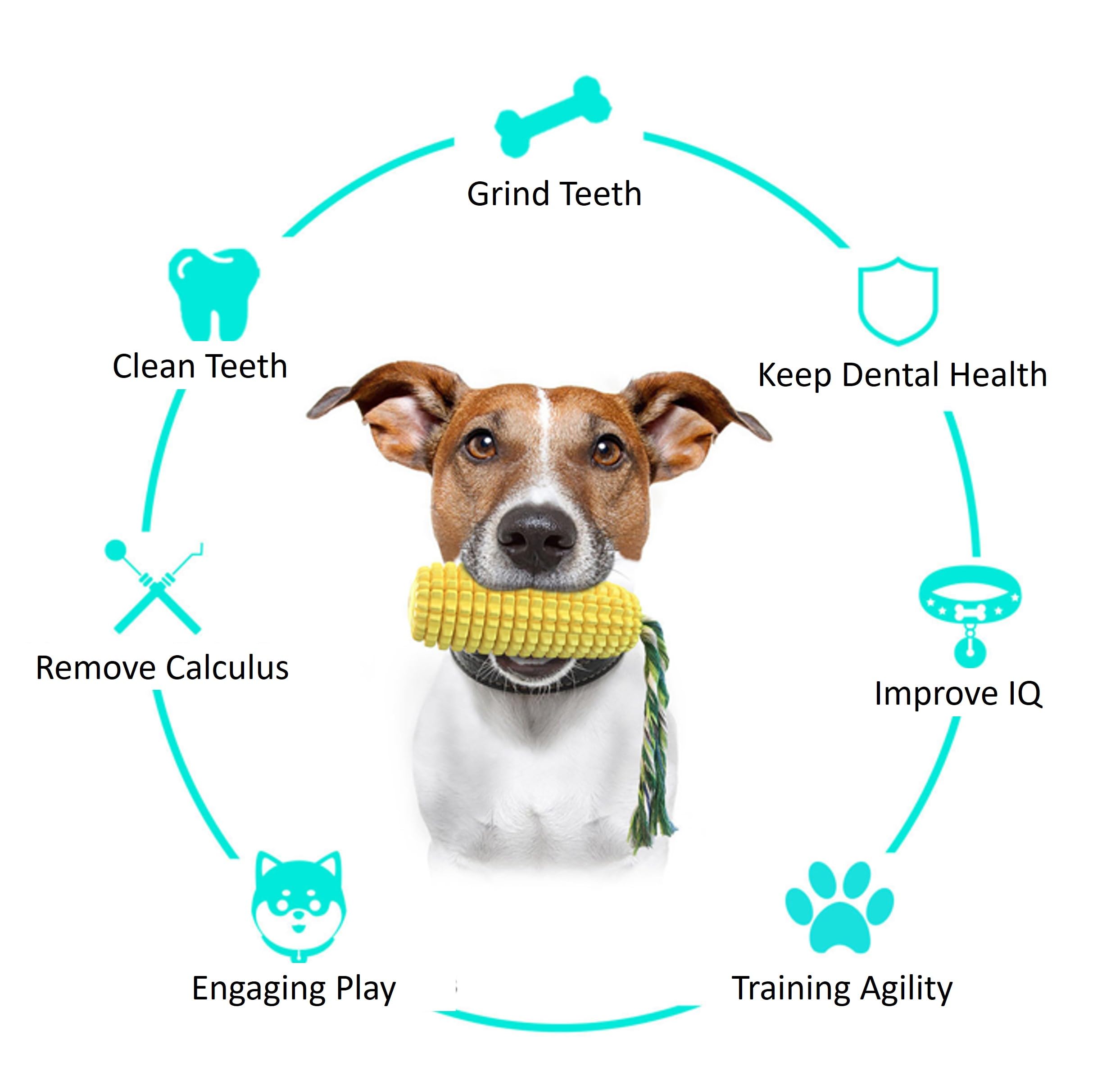Generic Dog Chew Toys for Aggressive Chewers β 2 Pcs Set Indestructible Tough Durable Squeaky Interactive Dog Corn Stick Toys for Small Medium Large Pet Super Fun Puppy Teeth Chew, Yellow