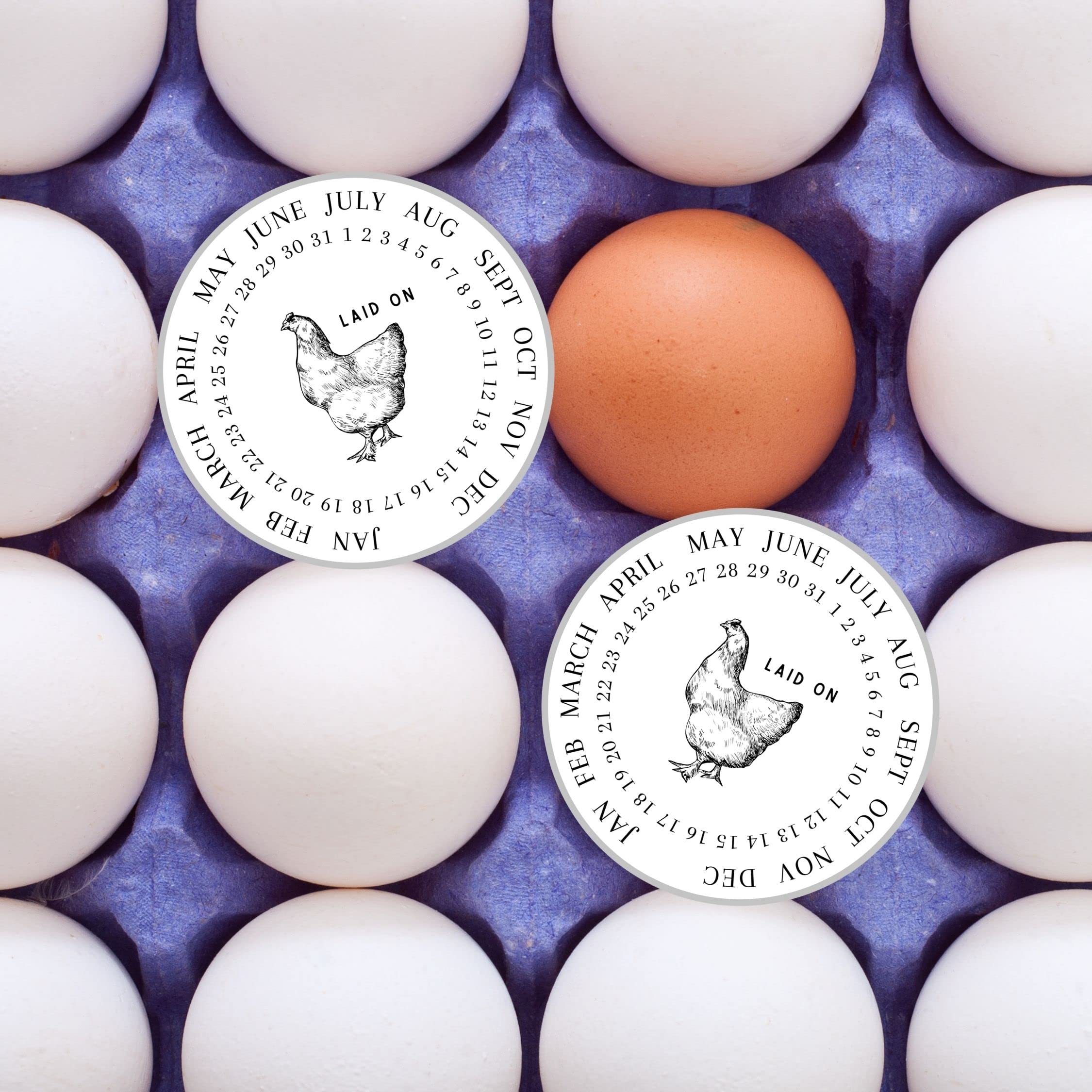 Laid On Date Stickers | 50 Pack | 2" Round Stickers | Farm Fresh Stickers, Egg Carton Stickers, Date Stickers for Fresh Eggs | White and Black with Chicken Design