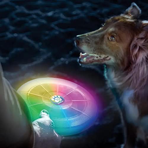 Nite Ize Flashflight LED Dog Discuit - Best Dog Flying Disc For All Hours of Play - With Long-Lasting LED Light, 1-Pack Multi-Colored Disc-O (FFDD-07-R8)