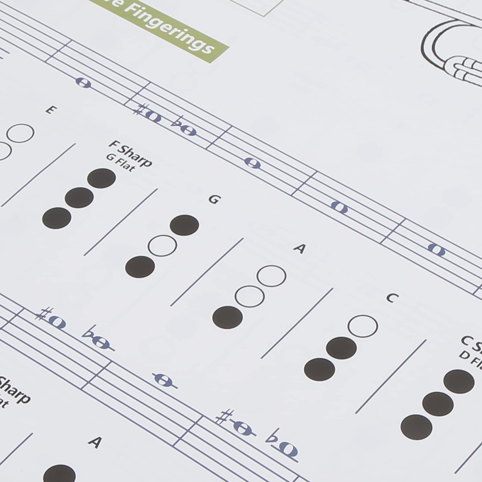 Trumpet Chord Chart Chords Reference Poster Scales Reference Fingering Practice Chart(Trumpet Chord Chart (Large Size))