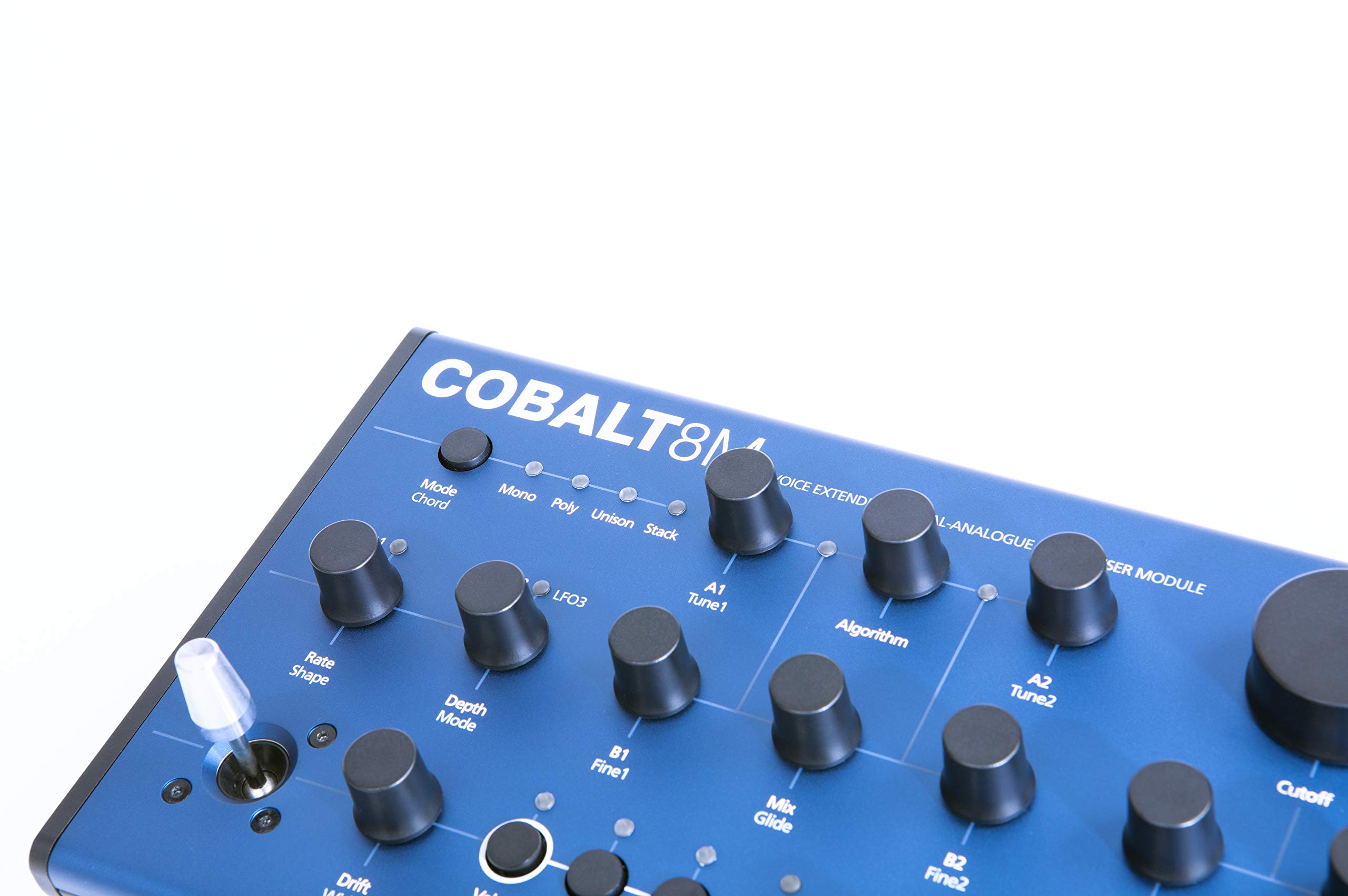 Cobalt8M 8-Voice Extended Virtual Analog Synthesizer Module (Renewed)
