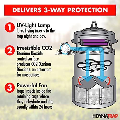 DynaTrap DT2000XLP-TUNSR Large Mosquito & Flying Insect Trap β Kills Mosquitoes, Flies, Wasps, Gnats, & Other Flying Insects β Protects up to 1 Acre