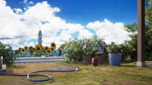 SUMMER LESSON: HIKARI, ALLISON, AND CHISATO (3 IN 1 BASIC GAME)