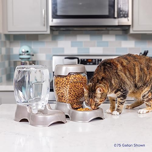 Petmate Pet Cafe Waterer Cat and Dog Water Dispenser, pearl silver gray, 0.25 GAL (24436)