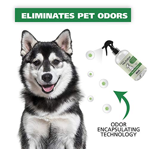 WAHL Scent Free Pet Odor Neutralizer Spray for Dogs Skin and Coat Perfect for Between Baths β 8 oz β Model 820012