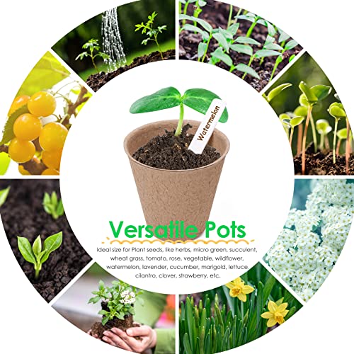 NuCandle 3β Peat Pots Seedling Pots Plant Starters Bulk 100 Pack Seed Starter Pots Biodegradable Plant Cups with Labels, Mini Seedling Tools for Garden Germination Nursery Pot