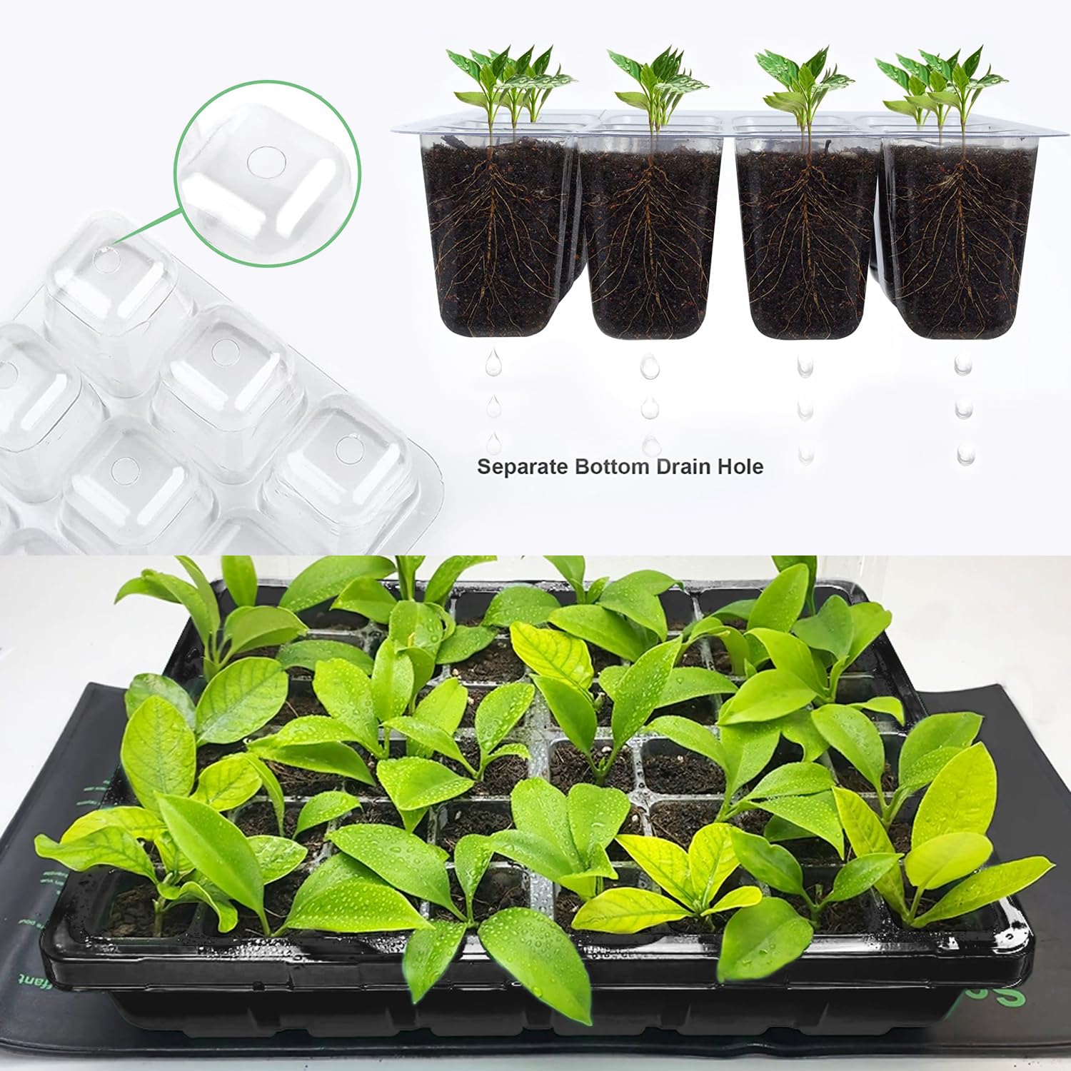 CANNABMALL 2 Packs Seed Starter Tray with Grow Light Samsung LM281B Diodes, Dimmable Seedling Starter Trays, 96 Cells Germination Trays Kit with Humidity Dome for Indoor Gardening Plant Black