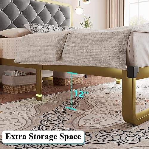 iPormis Twin Size Metal Bed Frame with Velvet Button Tufted Headboard, Curved Platform Bed Frame, Thicker Metal Steel Slats Support, 12'' Under-Bed Space, Noise-Free, Easy Assembly, Gold & Grey