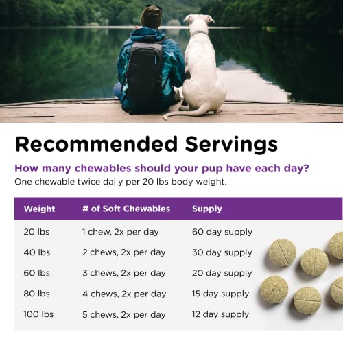 Nutri-Vet Nasty Habit Chewable Tablets for Dogs | Helps Stop Puppies and Dogs from Eating their Own Stool | 120 Count