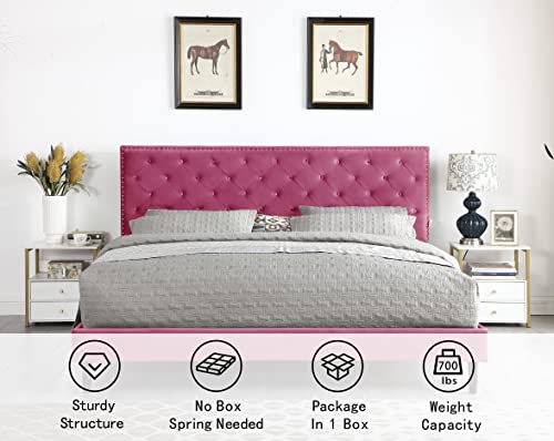 King Upholstered Platform Bed Frame with 48" Tall Adjustable Headboard - Button Tufted Suede Velour Bed- Wood Slat Support with Storage Space - No Box Spring Needed - Pink - OLIVER & SMITH - Princeton