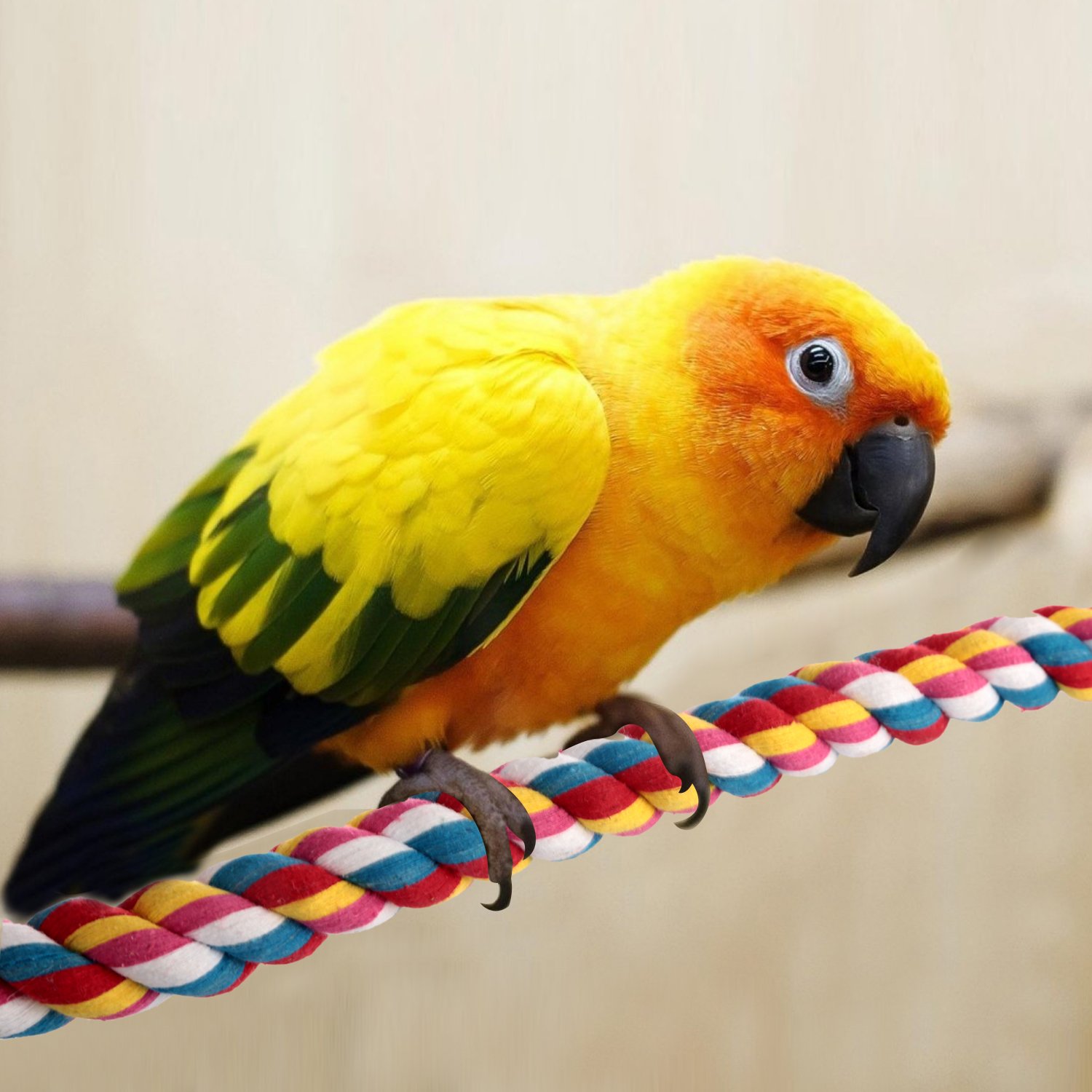Jusney Bird Rope Perches,Parrot Toys 41 inches Rope Bungee Bird Toy (41 inches)[1 Pack]