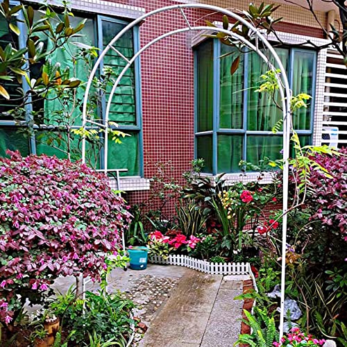 Garden Arch Simple Climbing Plants Rose Arch,Weatherproof Galvanized Pergola Arbor Trellis,for Outdoor Terrace/Garden Decoration Rose Trellis (Color :, Size : 260x230x40cm)