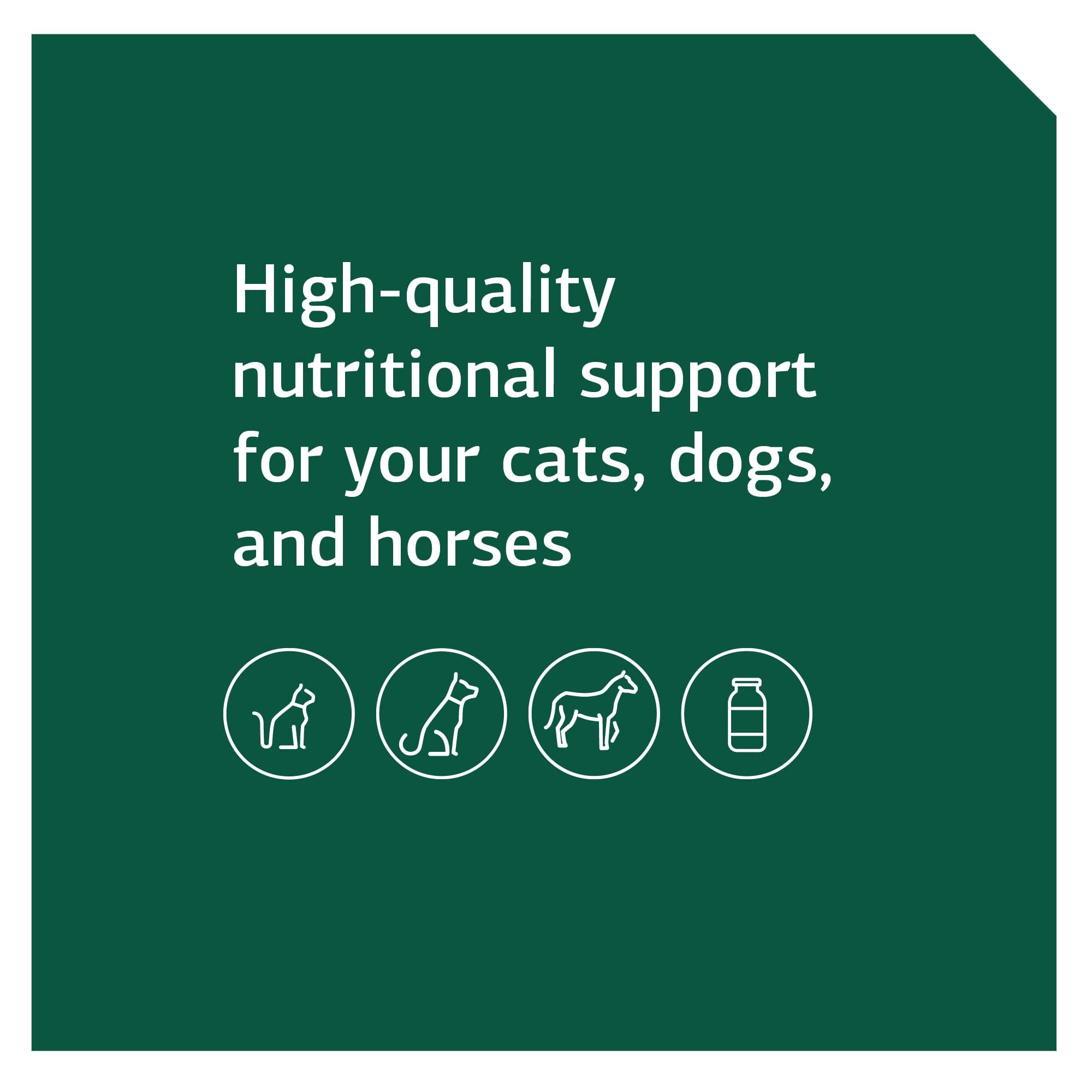 Standard Process Equine Immune Support - Whole Food Horse Supplies for Immune Support with Whey Protein, Magnesium Citrate, Kale, Sunflower Lecithin, L-Glutamine, Turmeric Root - 30 Ounce