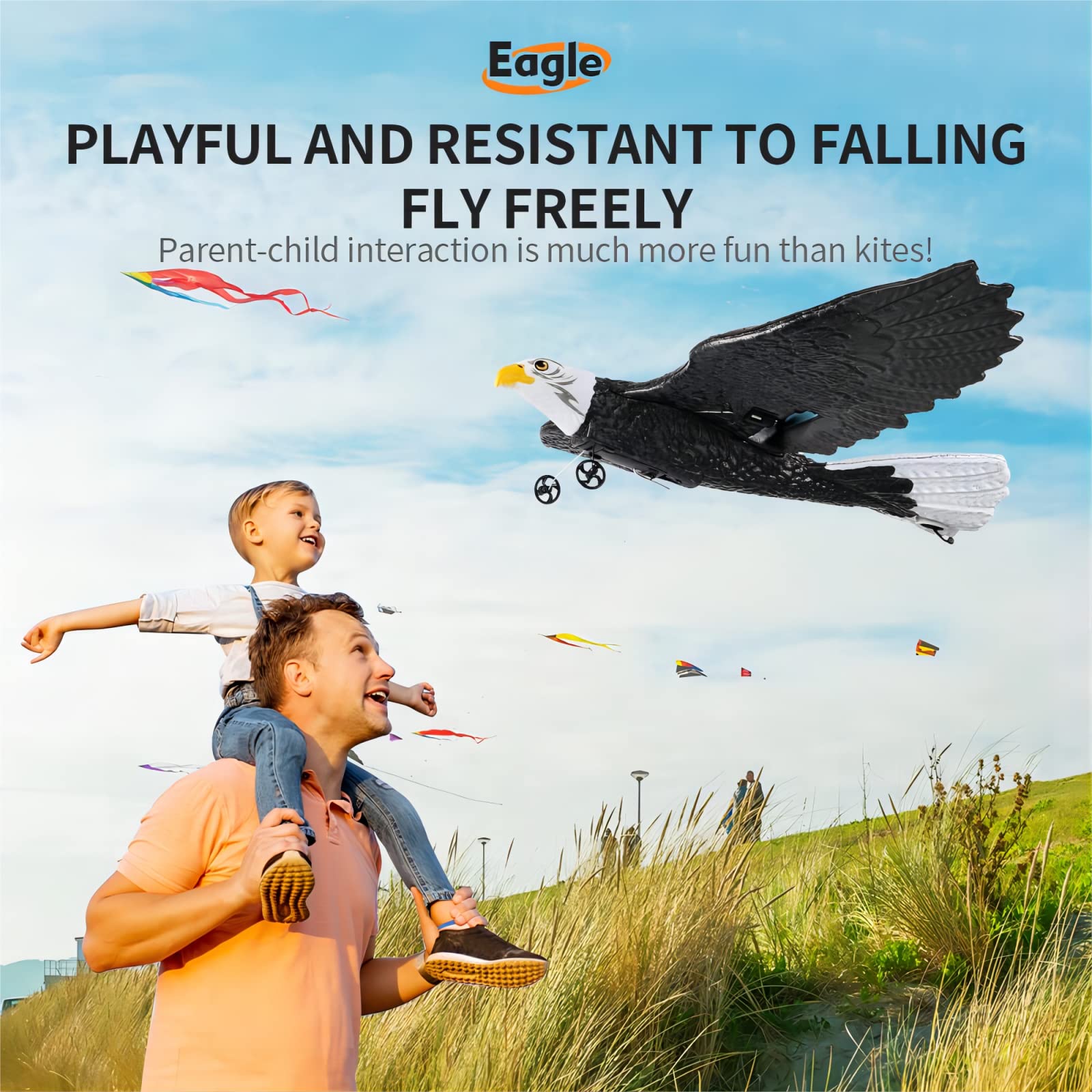 deAO RC Plane,Remote Control Eagle Plane Aircraft Helicopter-Like A Real Eagle,Easy to Fly for Beginners Kids-Great Remote Control Flying Toy