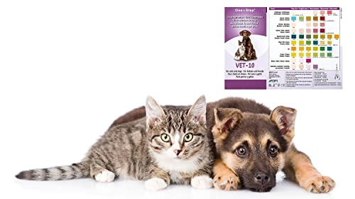 One Step Pet Urine Test Strips, 15 x Urinalysis 10 Parameter Tests in a Re-sealable Foil Pouch, Tests for Dogs Cats & Animals, Accurate Testing for UTI Diabetes Bladder Kidney Liver SG pH Glucose