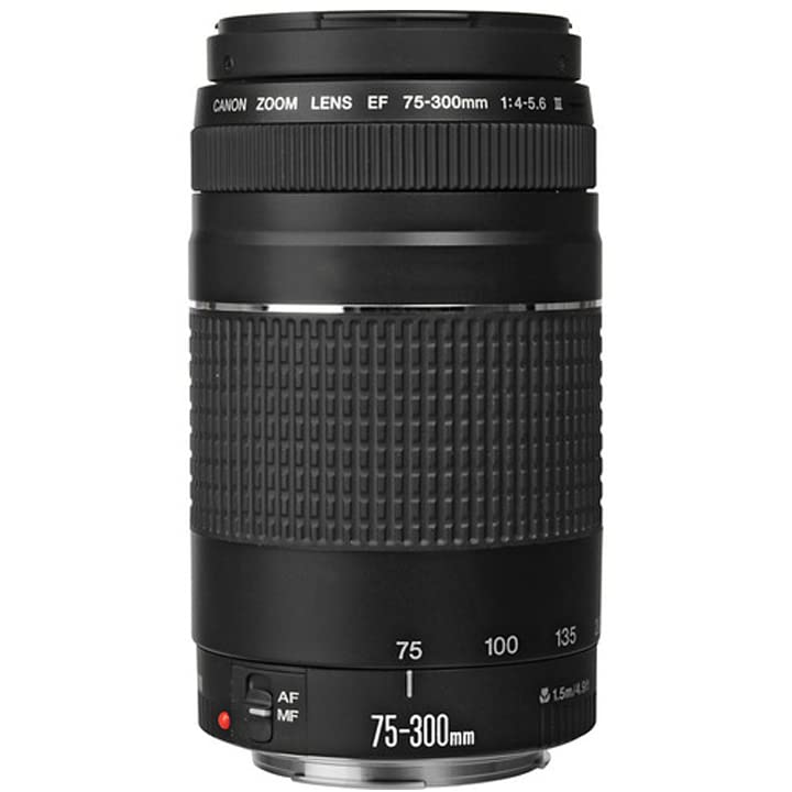 Canon EOS R7 Mirrorless Camera w/Canon RF-S 18-150mm is STM Lens and EF 75-300mm III Lens + Memory Card + Case + Photo and Video Editor & More