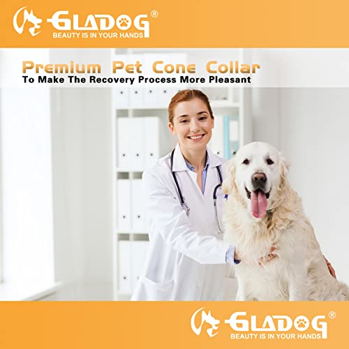 Soft Dog Cone Collar, 2 PCS (for Exact Size) Flexible Plastic Cone for Dogs After Surgery, Dog Recovery Collar, Adjustable E-Collar for Large/Medium/Small Dogs Cat, Comfy Elizabethan Collar (M)