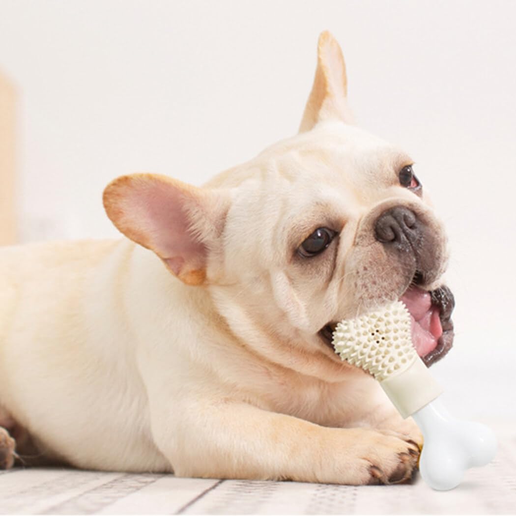 Kapmore Biting Training Toy Bone - Puppy Interactive Chew Reusable Funny for Teeth Cleaning Shape Small Medium Toy