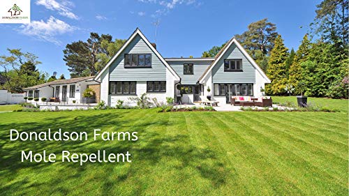 Donaldson Farms Mole Repellent Castor Oil Concentrate - Covers 20,000 Square Feet - 1 Gallon - Mole Repellent for Lawns
