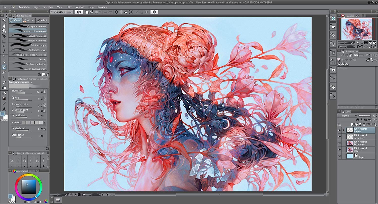 Clip Studio Paint EX + TABMATE for Global Bundle