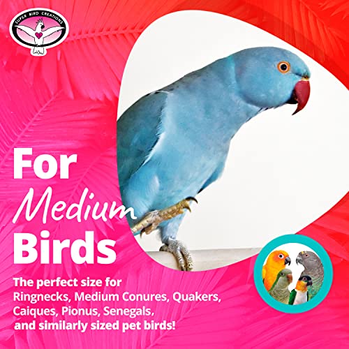 Super Bird Creations Holy Gumballs! Bird Toy 9.5β x 6.5β