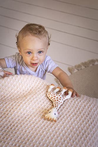 Vulli Sophie The Giraffe New Box, Polka Dots, One Size, 1 Count (Pack of 1)