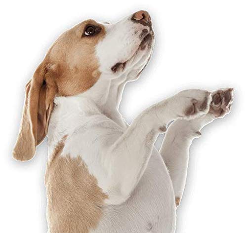 I LOVE MY PETS LLC Hip and Joint Supplements for Puppy - Dog Hip and Joint Support - MAX Strength Formula Chews - Liver for Dogs - 360 Treats (3 Bottles)