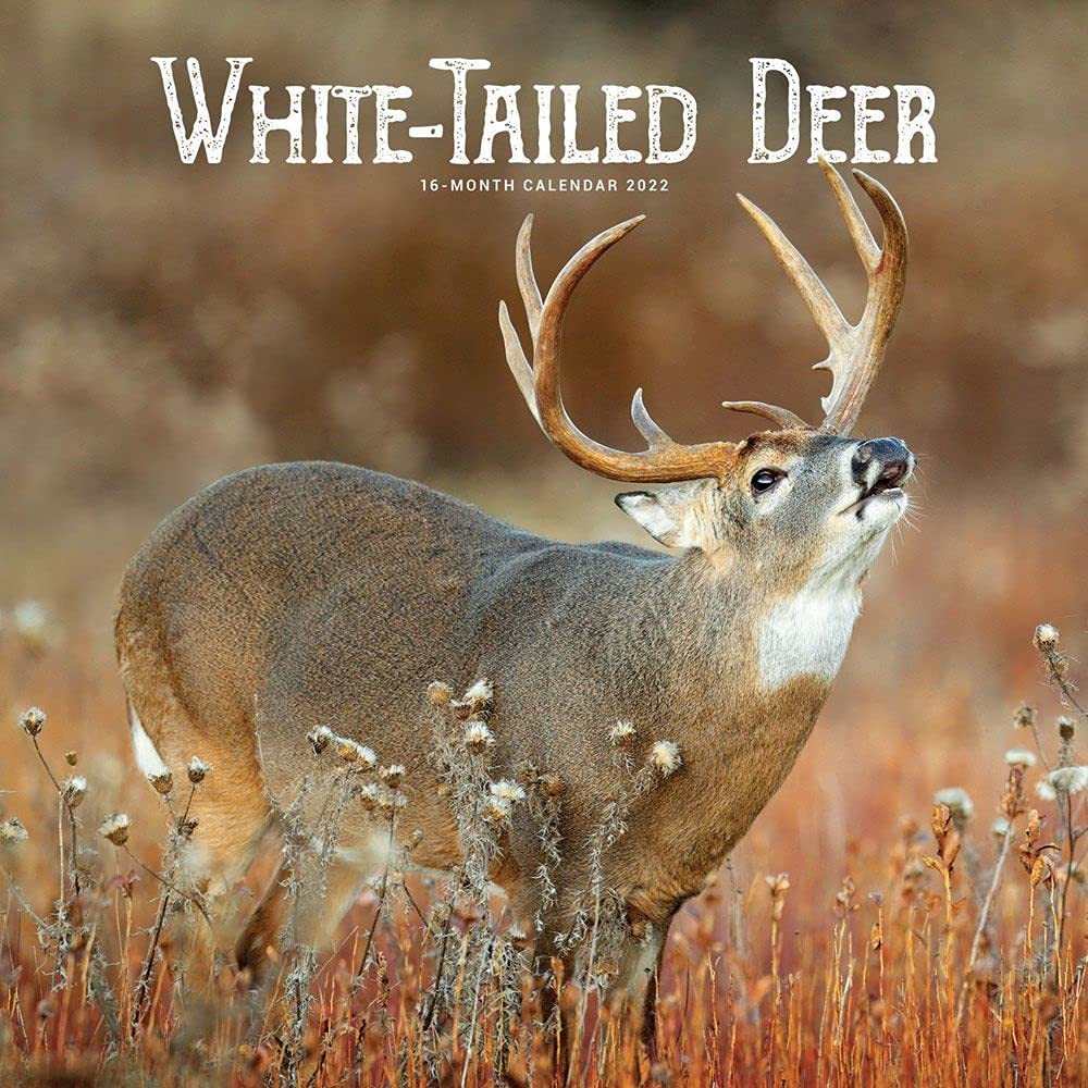 Carousel Calendars, White Tailed Deer 2022 Wall Calendar