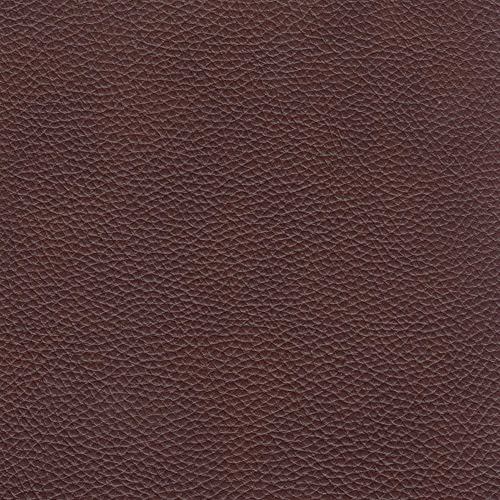 Hydeline Dillon Top Grain Leather Sofa and Chair Set, Brown