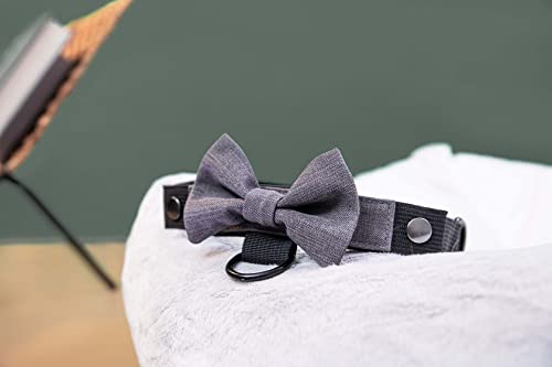 BOW Gentle - Modular Dog Collar