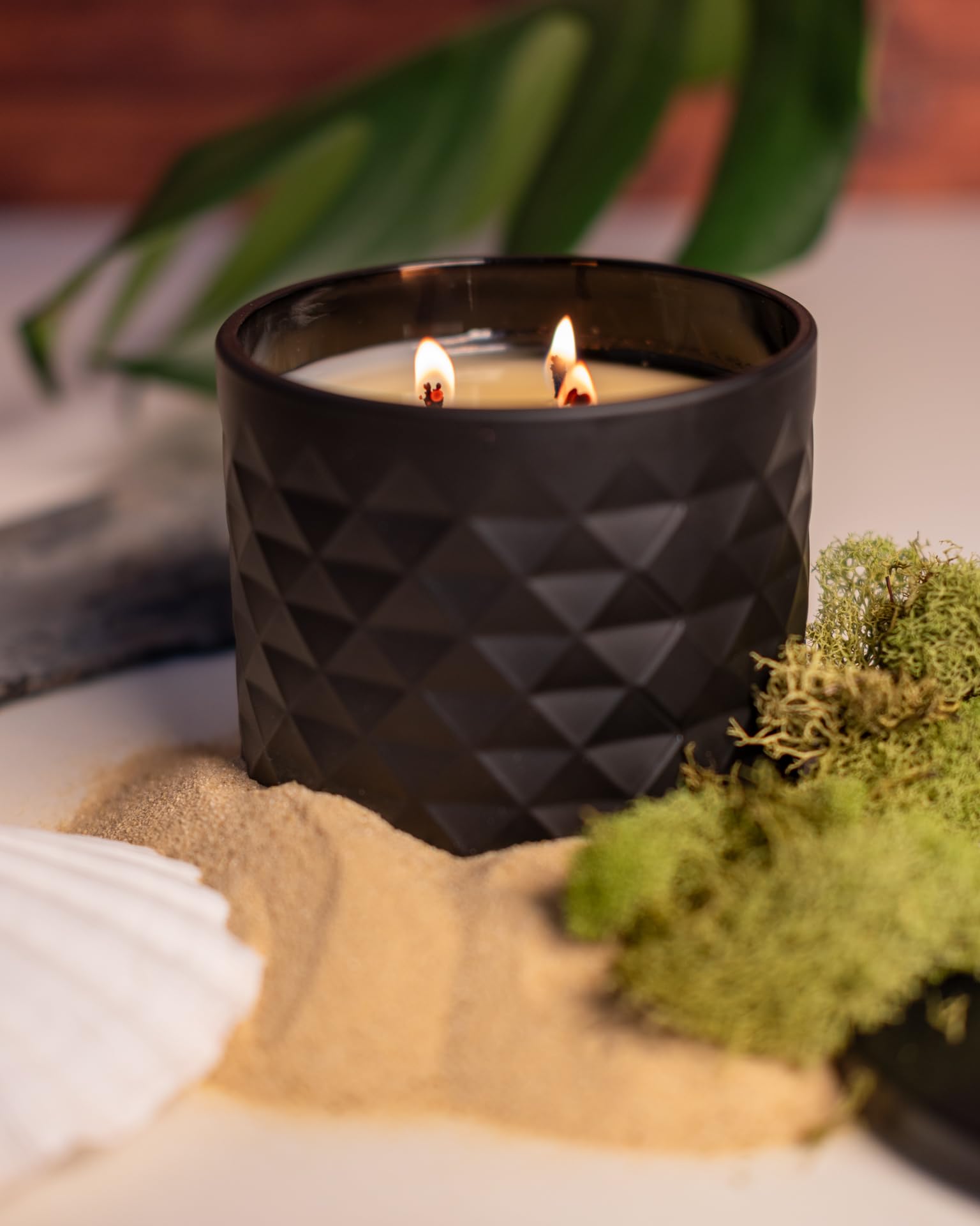 Gold Canyon Signature Medium Candle, Coastal Jasmine Scented Candle, 14 oz., Three Wicks, 100% Natural Soy Wax Candle, Notes of Jasmine & Coastal Moss | 35+ Hours of Burn Time