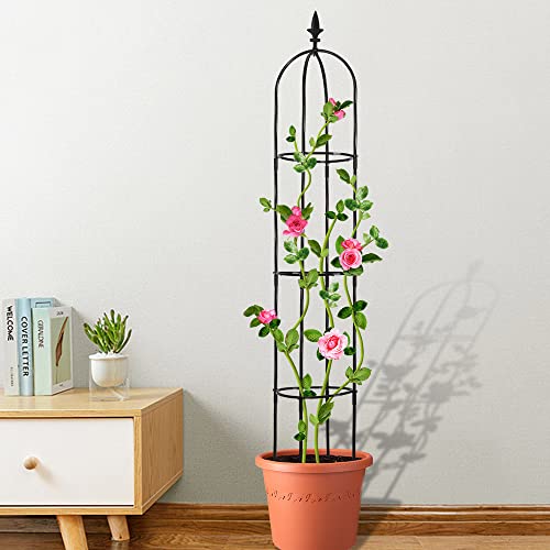 Lalahoni Trellis for Climbing Plants Outdoor, Rustproof Plant Support Potted Flowers Vegetable Vine Indoor Outdoor Garden Obelisk, 6ft Tall Rose Black 1pc