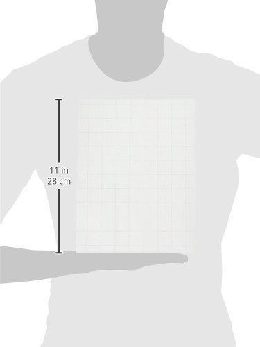 School Smart-85280 Double Sided Graph Paper with in Ruler - 8 1/2 in x 11in - Ream of 500 - White