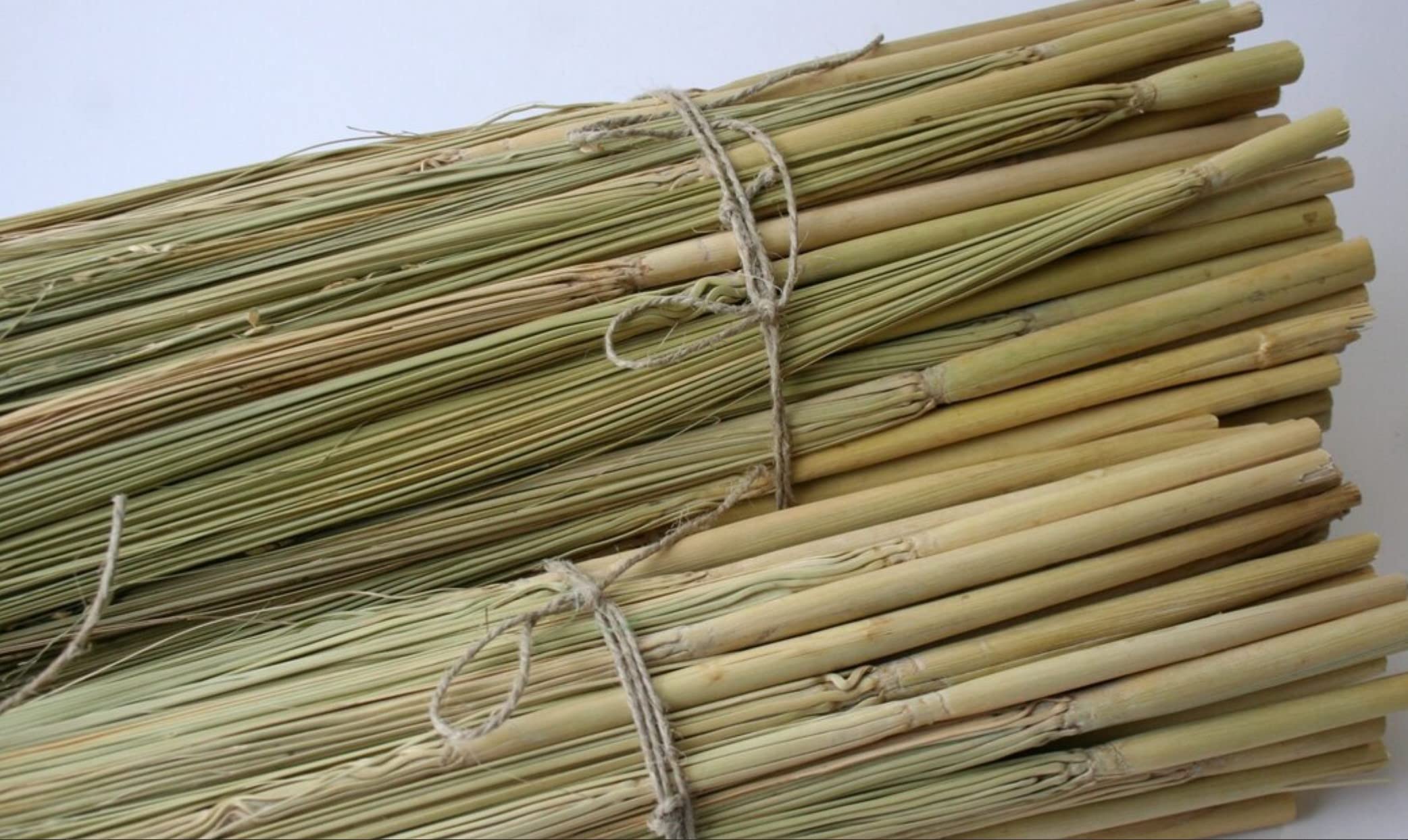 Craft Broom Corn with Stalks 24-36" Length…