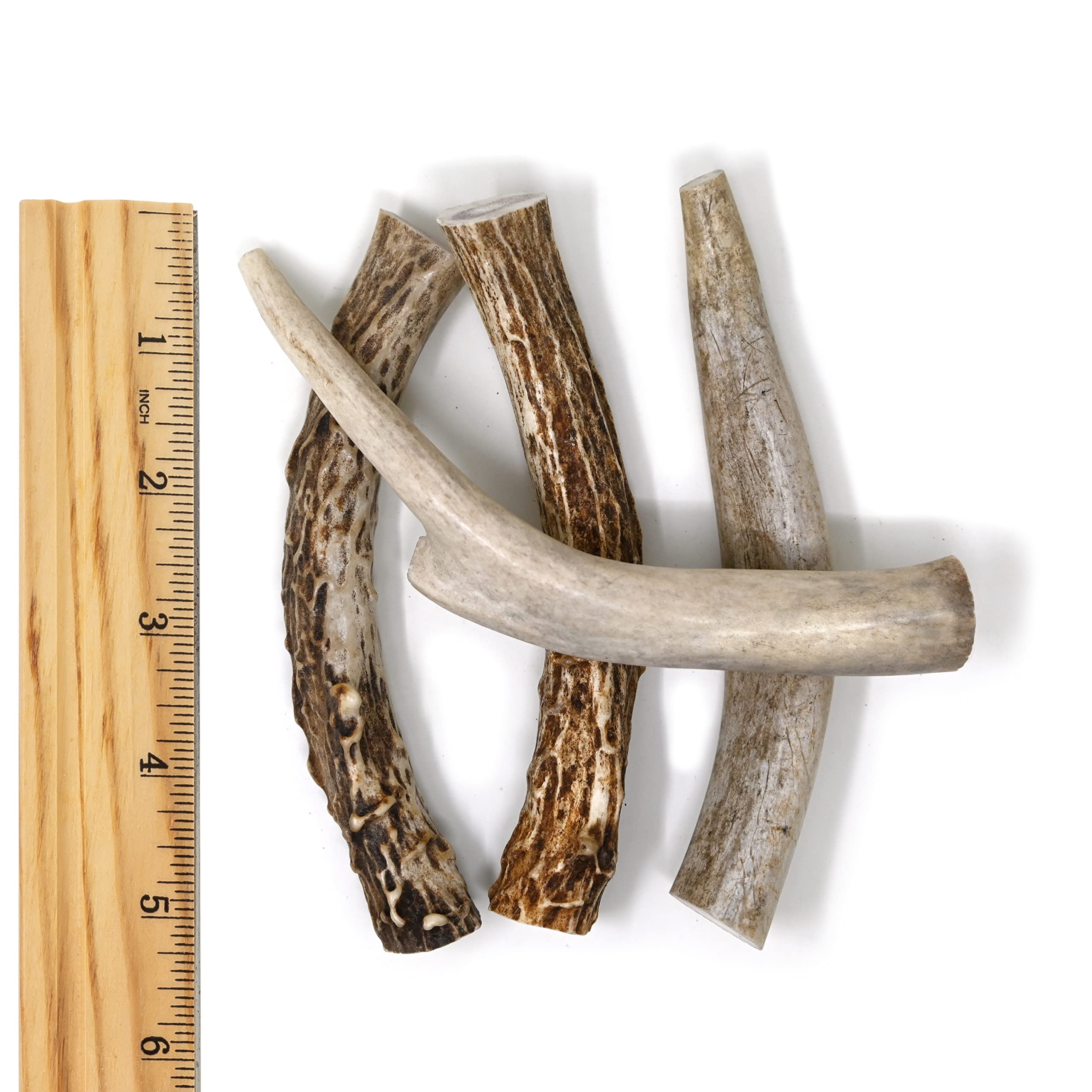 Buck Bone Organics Deer Antler Dog Bones, Premium Grade A - Natural Dog Treat, Made in Montana (Medium)