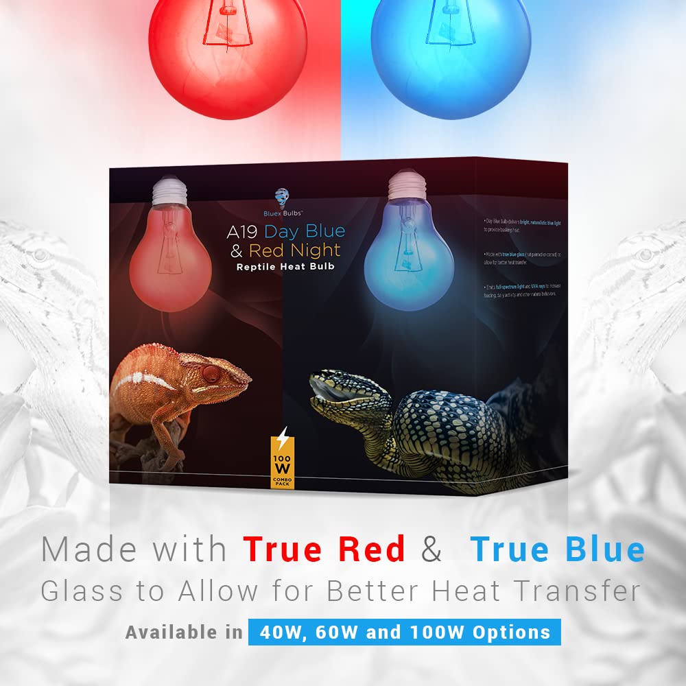 Bluex Bulbs 4 Pack A19 Day Blue & Red Night Reptile Heat Bulb Combo Pack 60W - Terrarium Light & Heat Source Replicates Day Night Environment Promotes Natural Behavior Reptile Day and Night Heat Lamp