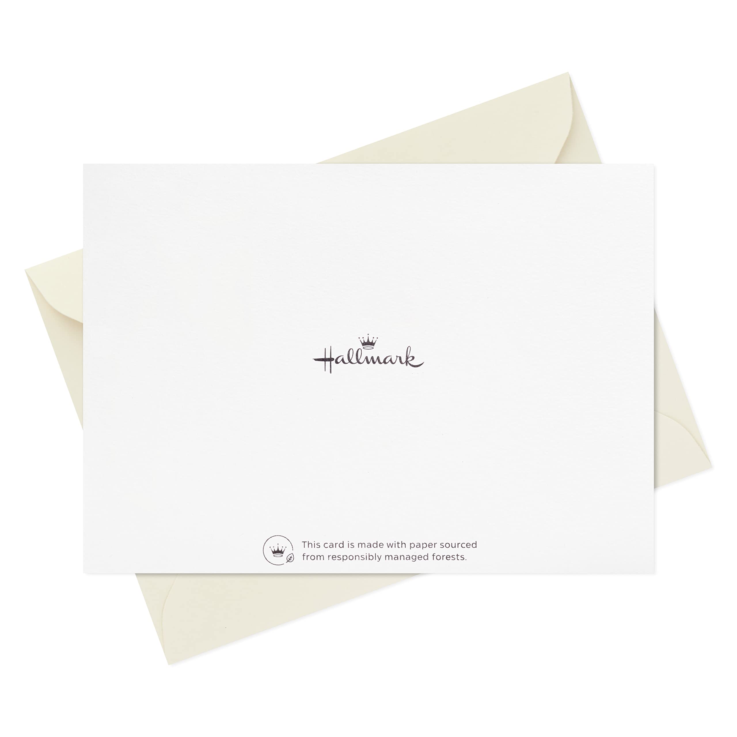 Hallmark Thank you Cards Assortment, Gold Foil Solids (24 Thank You Notes with Envelopes)