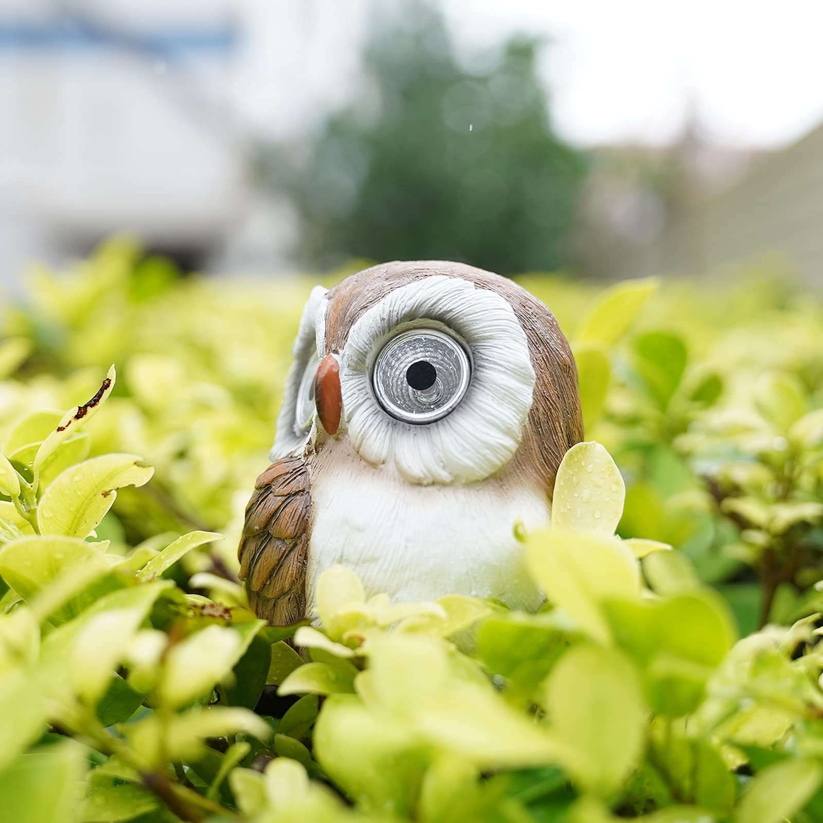 Solar Garden Light Owl Statue Outdoor Figurines Solar Powered LED Garden Decor Outdoor Ornaments Gift Statue for Yard and Pathway Waterproof Rein Charging Lighting Decoration
