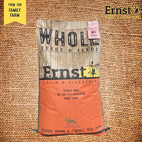 Ernst Grain Cracked Corn, Non-GMO β Perfect Feed for Ducks, Squirrels, Chickens, Ducks, Deer, Rabbits, Geese, and More! (50 lb)