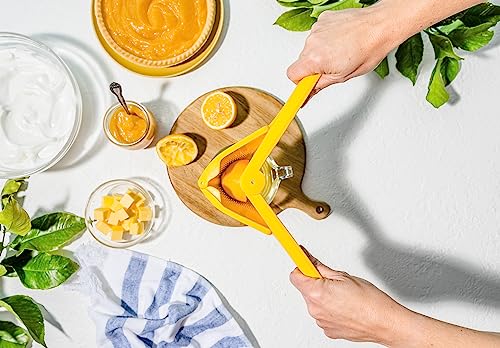 Dreamfarm 10" Lemon Fluicer | Easy Squeeze Manual Lemon Juicer | Citrus Juicer That Folds Flat for Space-Saving Storage | Lemon Squeezer with Sideways Pivot to Increase Leverage + Reduce Effort Needed