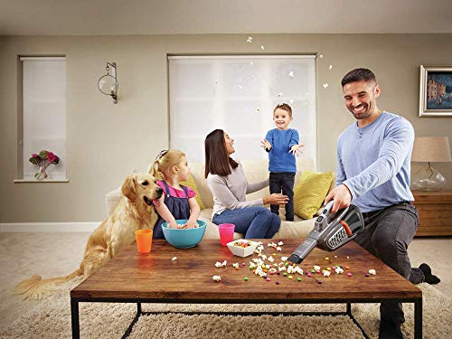 BLACK+DECKER Dusbuster Handheld Vacuum, Cordless, Gray (HHVK415B01)