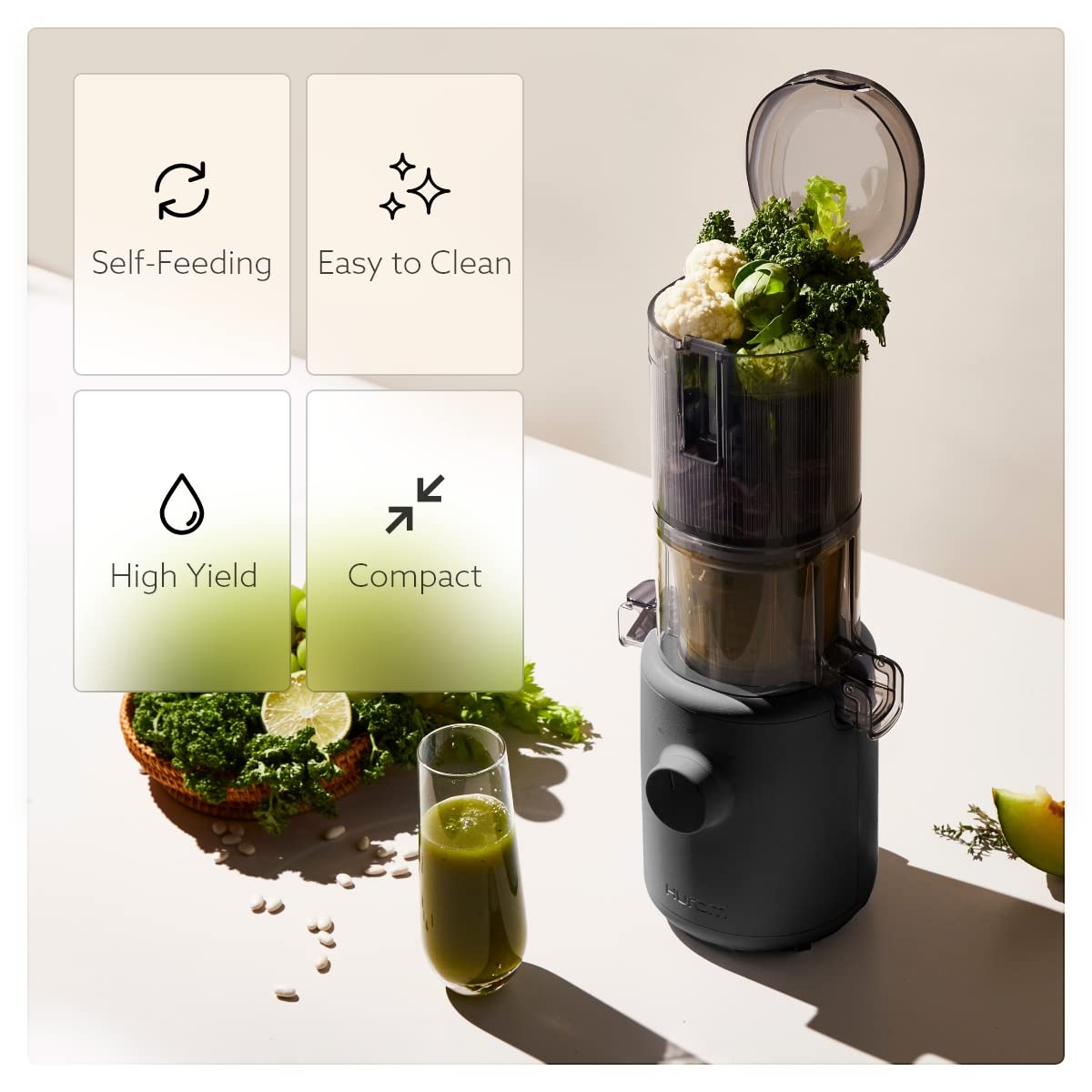 Hurom H310A Personal Self Feeding Slow Masticating Juicer (H310A Lavender)