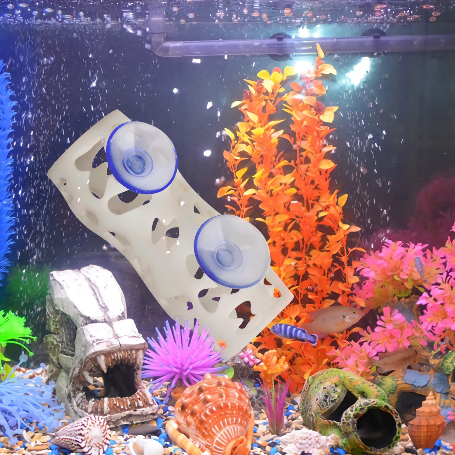 Betta Fish Tunnel, Betta Cave Black, Hollow BettaTunnel Tank Decor, Shrimp Hideout for Corner Fish Passing Or Hiding Shrimp Cichlid Be Covered Easily in Moss to Offer More of A Hide