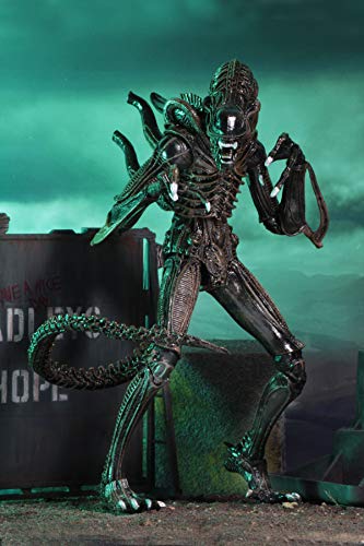 NECA - Alien- 7" Scale Action Figures - Ultimate Warrior - (1986) Brown Alien