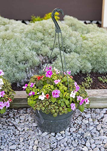 Curtis Wagner 10" Clear Hanging Basket Drip Pan Saucer (10-Pack)