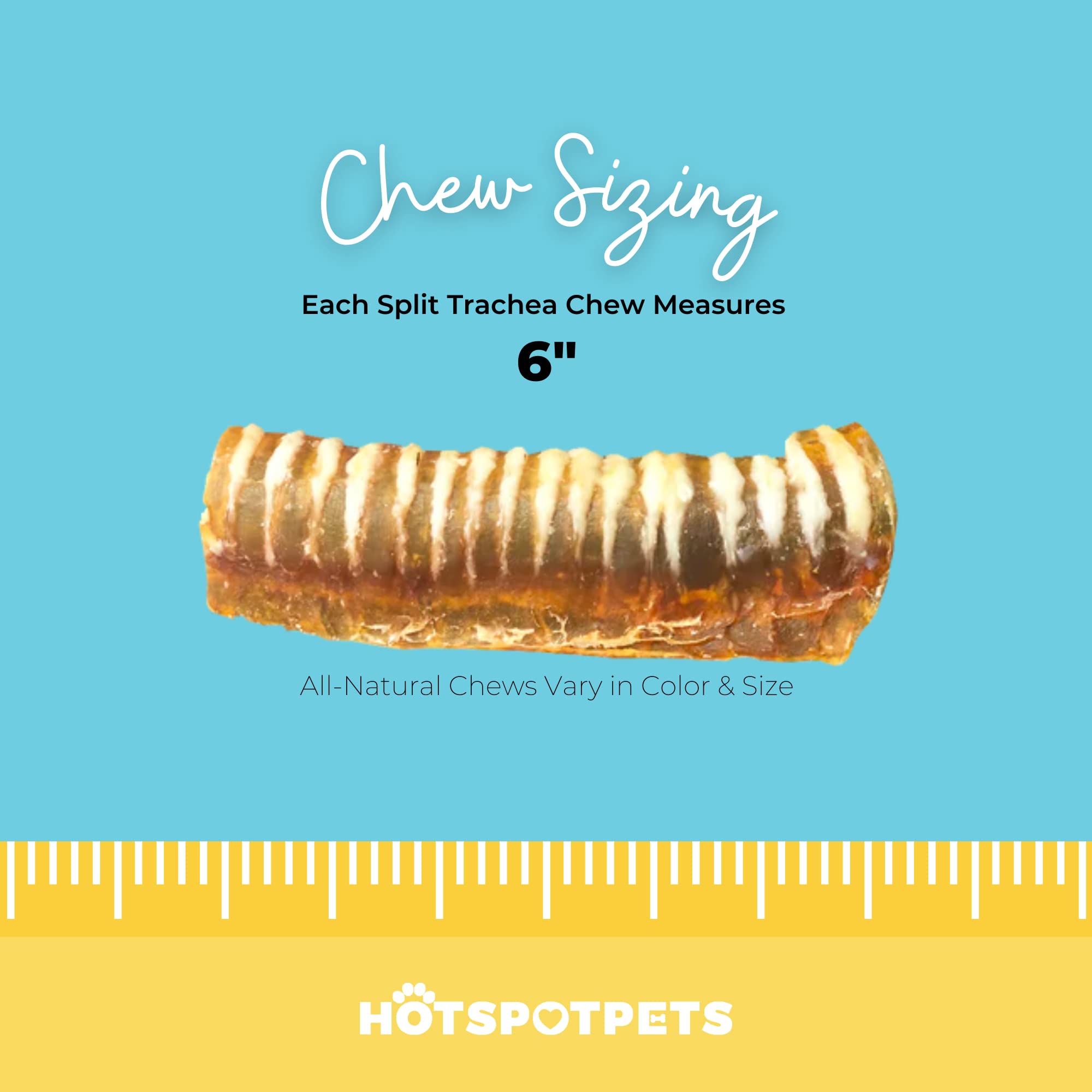 hotspot pets Premium Beef Trachea for Dogs 6" Strips Split -(20 Pack) All Natural Grass-Fed Beef Dog Chews, Rich in Glucosamine Chondroitin for Joint Health, Single Ingredient No Rawhide Dog Treats