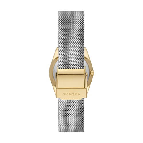 Skagen Women's Grenen Lille Three-Hand Stainless Steel Mesh Watch (Model: SKW3046)