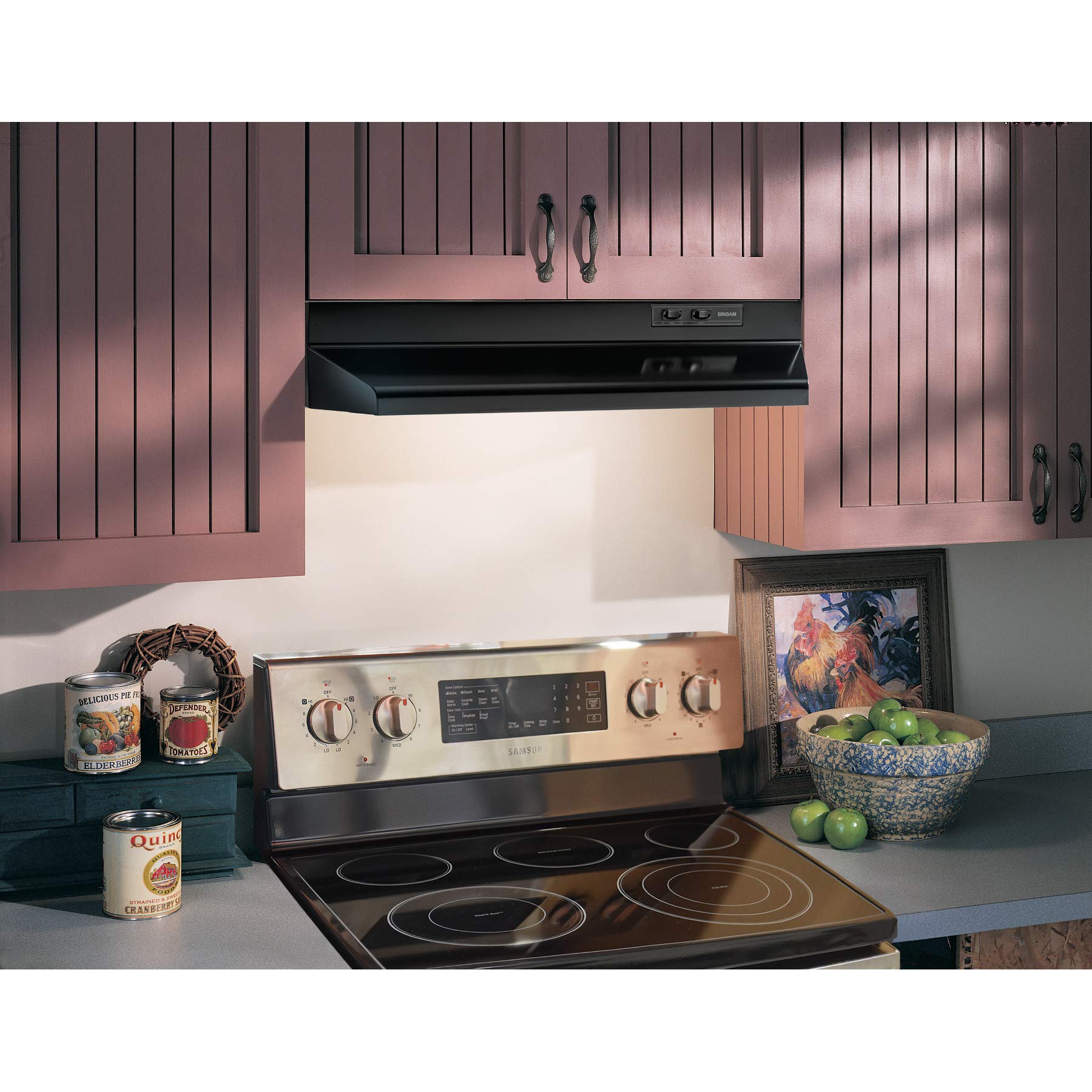Broan-NuTone 403023 B000UW02A6 30-inch Under-Cabinet Convertible Range Hood with 2-Speed Exhaust Fan and Light, Black