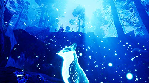 Spirit of The North (PS4)
