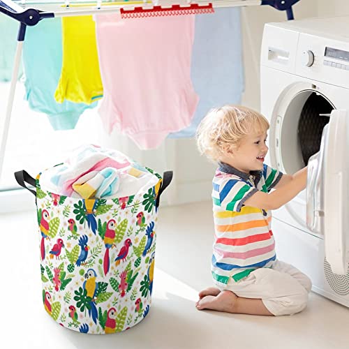 Cute Tropical Birds in Jungle Laundry Basket Round Collapsible Storage Bin with Drawstring and Handle for Bedroom Bathroom Toys Room 17.3" X 13.8"